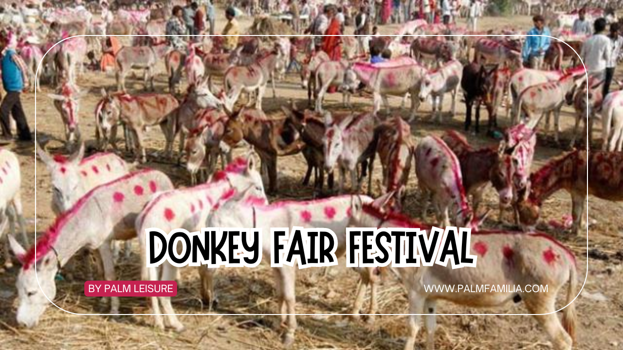 Donkey Fair in Jaipur: A Unique Celebration - Palm Familia
